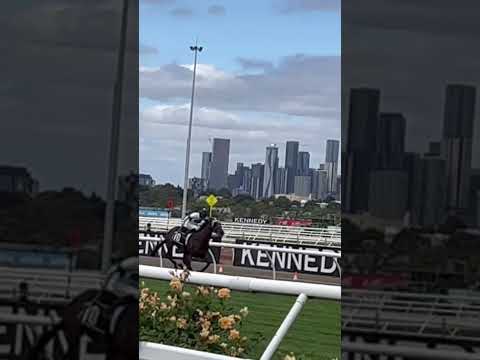 Finishing line race 4 | TAB Australian Cup Day 2023 | Flemington