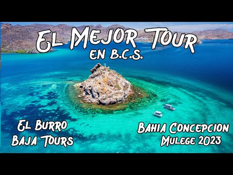 El Mejor Tour de B.C.S. está en Mulegé | Verano 2023 - El Burro Baja Tours