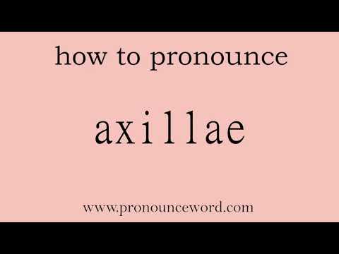 axillae: How to pronounce axillae in english (correct!).Start with A. Learn from me.