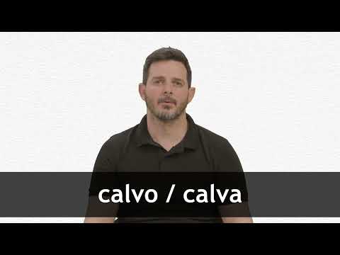 English Translation of “CALVO” | Collins Spanish-English Dictionary