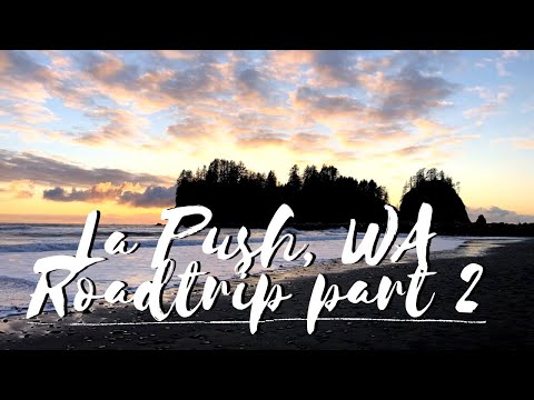 La Push, WA - Sea Lions and Bald Eagles