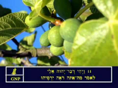 Jeremiah 1 Hebrew Picture Bible