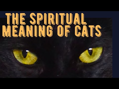 The Spiritual Meaning of Cats New Video 2023 .
