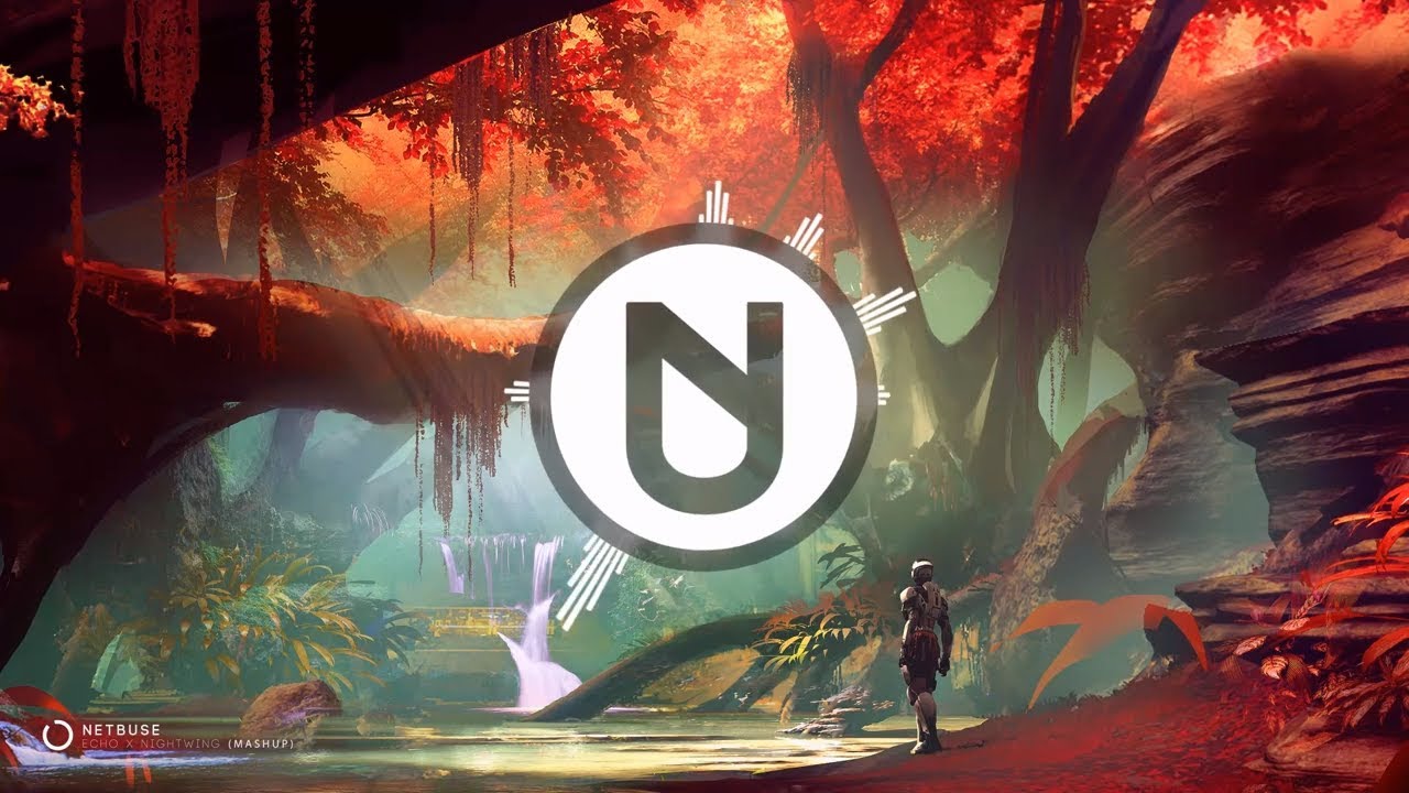 Netbuse - Echo X Nightwing (Mashup)