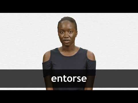 English Translation of “ENTORSE” | Collins French-English Dictionary