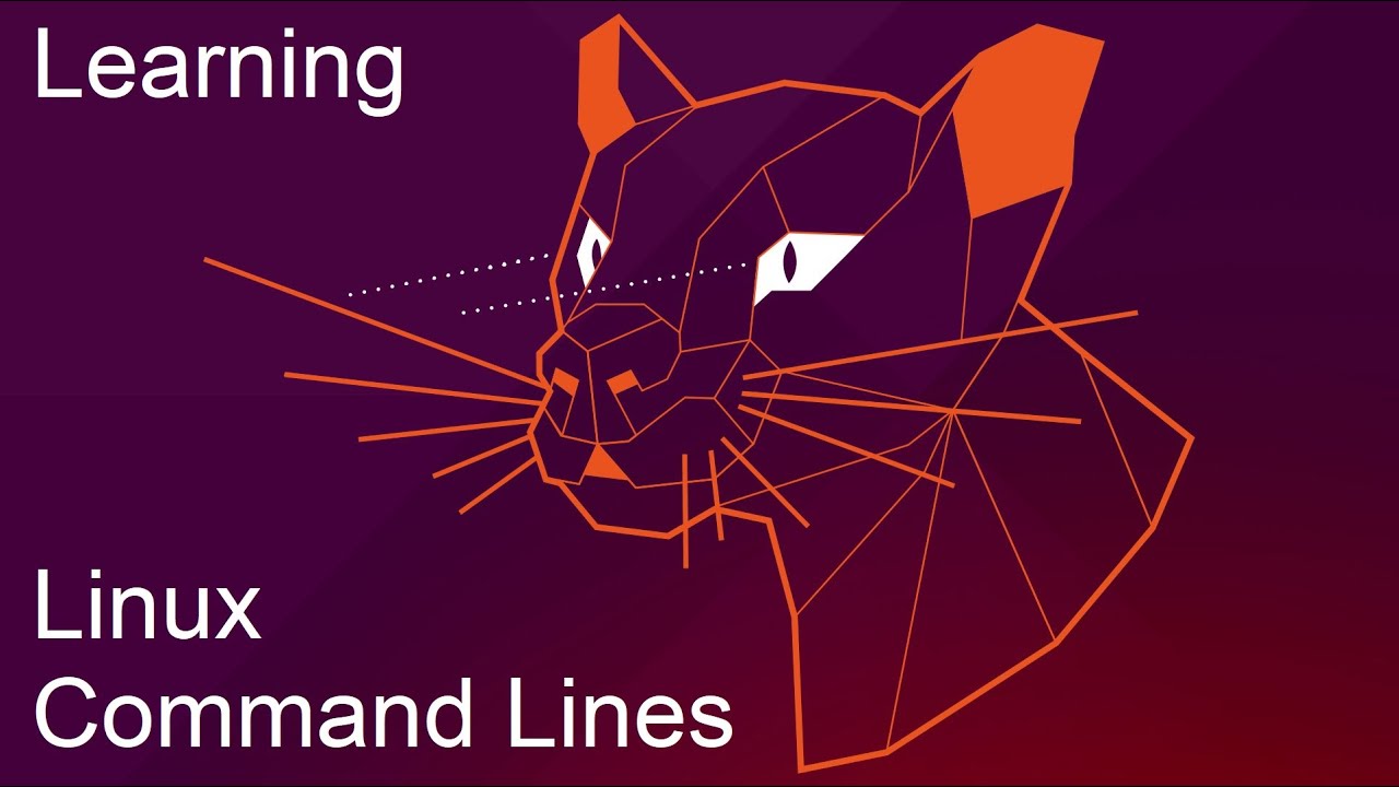 Learning LINUX command Lines (Part 1)