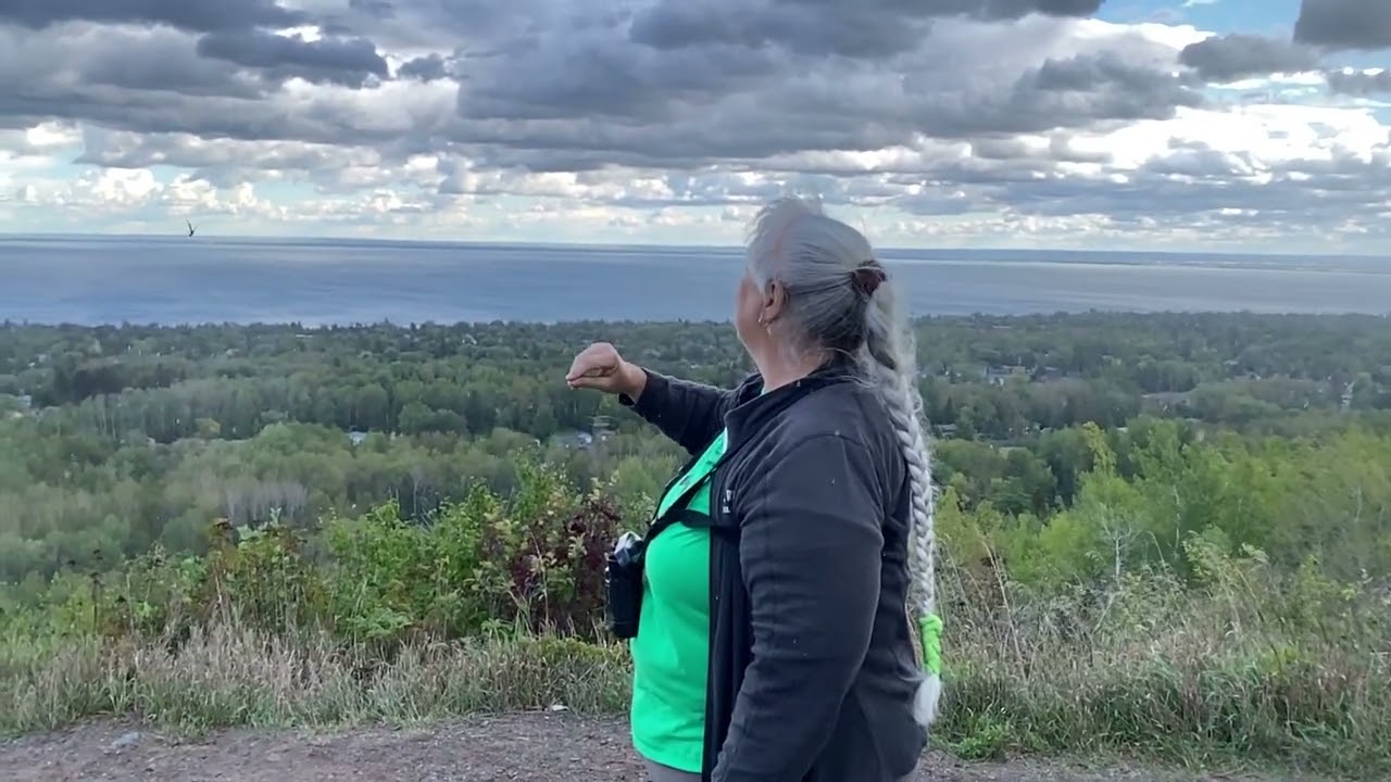 Watch a sharp-shinned hawk being released at Hawk Ridge Bird Observatory in Duluth, Minnesota