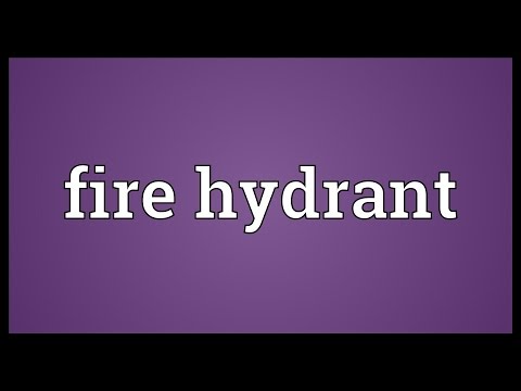 Fire hydrant Meaning