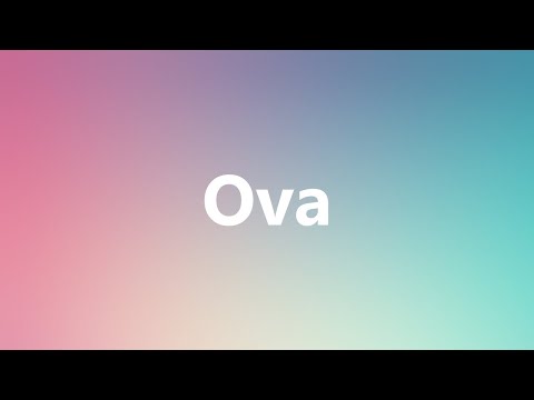 Ova - Medical Meaning and Pronunciation