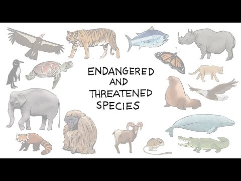 Animals on the Edge | Ballot Brief | PBS SoCal