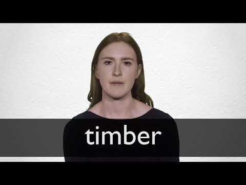 TIMBER definition and meaning | Collins English Dictionary