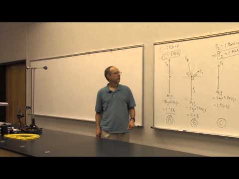 Static Equilibrium