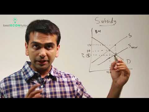 Microeconomics: Subsidy
