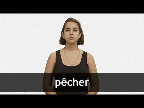English Translation of “PÊCHER” | Collins French-English Dictionary