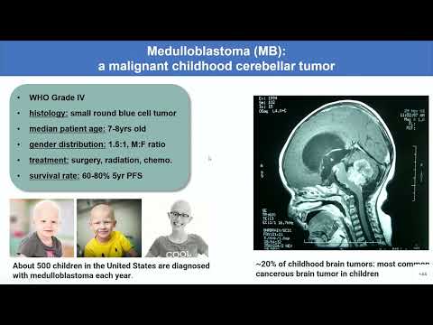 Big News from the Little Brain:The Cerebellum in Development and Disease
