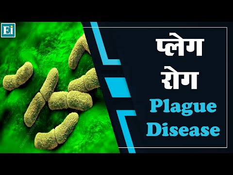 Plague Disease | प्लेग | Plague In Hindi & English | Short Notes | Extreme Intelligence