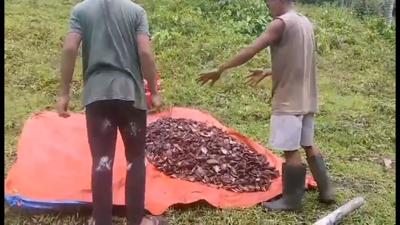 ESP 8 PERFORMANCE TASK