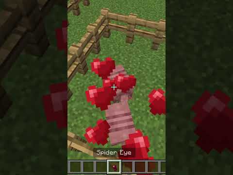 Minecraft How To Breed Armadillo #minecraft #minecraftshorts