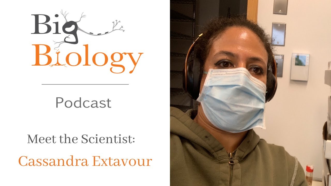 Meet the Scientist: Cassandra Extavour