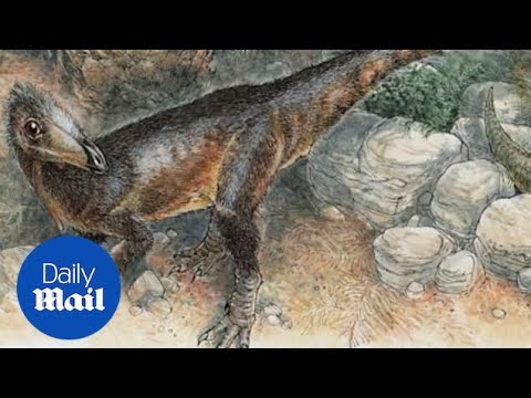 Bizarre chicken-sized dinosaur and T-Rex relative discovered in the UK