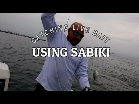 Saltwater Walmart Sabiki Fishing in Florida for Live Bait