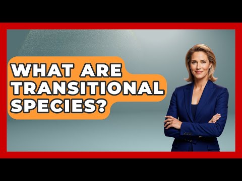 What Are Transitional Species? - Biology For Everyone
