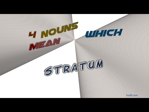 stratum - 4 nouns which are synonym to stratum (sentence examples)