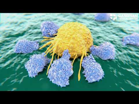 Unlocking the Power of NK Cells in Cancer