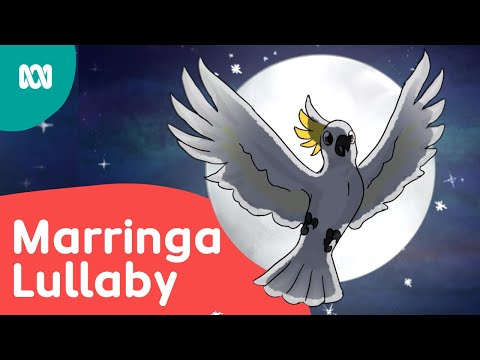 ๐ Journey across Country and dream of all the animals โจ | Marringa Lullaby | ABC Kids