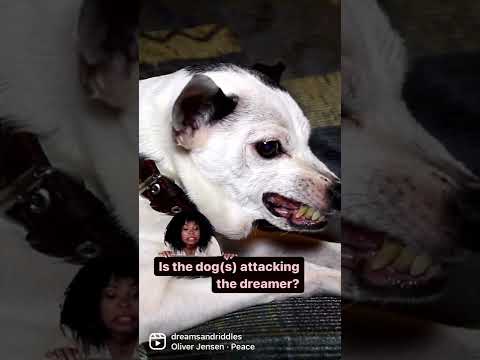 Dreams When Dogs Attack
