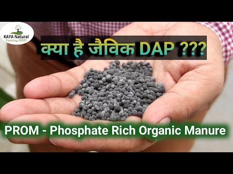 Organic DAP Fertilizer at Best Price in India