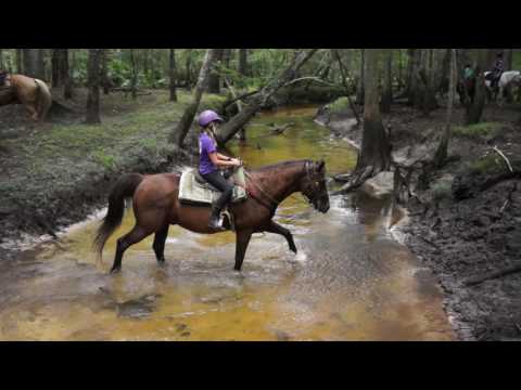Diamond D Ranch - Summer Horse Camp