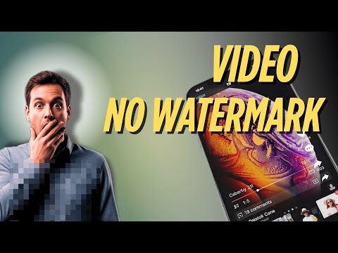 How to Download TikTok Videos Without Watermark in 2025