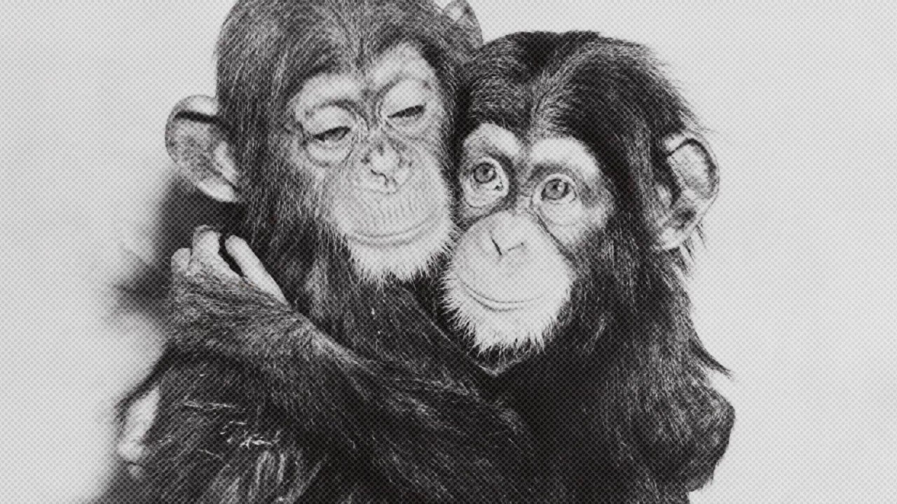 The Science Of Friendship | Next Level Living Ep. 6