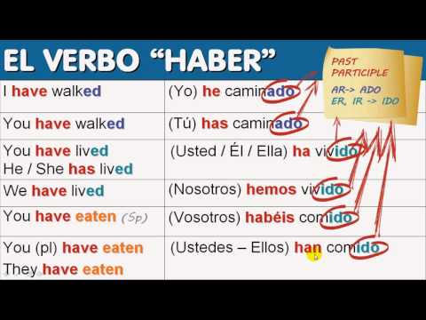 'Haber' As an Auxiliary Verb: It's Perfect! [1/8]