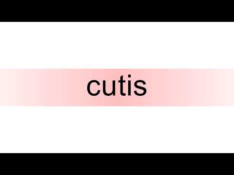 How to pronounce cutis