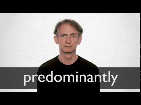 PREDOMINANTLY definition and meaning | Collins English Dictionary