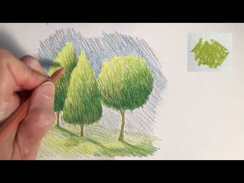 Simple Coloured Pencil Drawing: Trees
