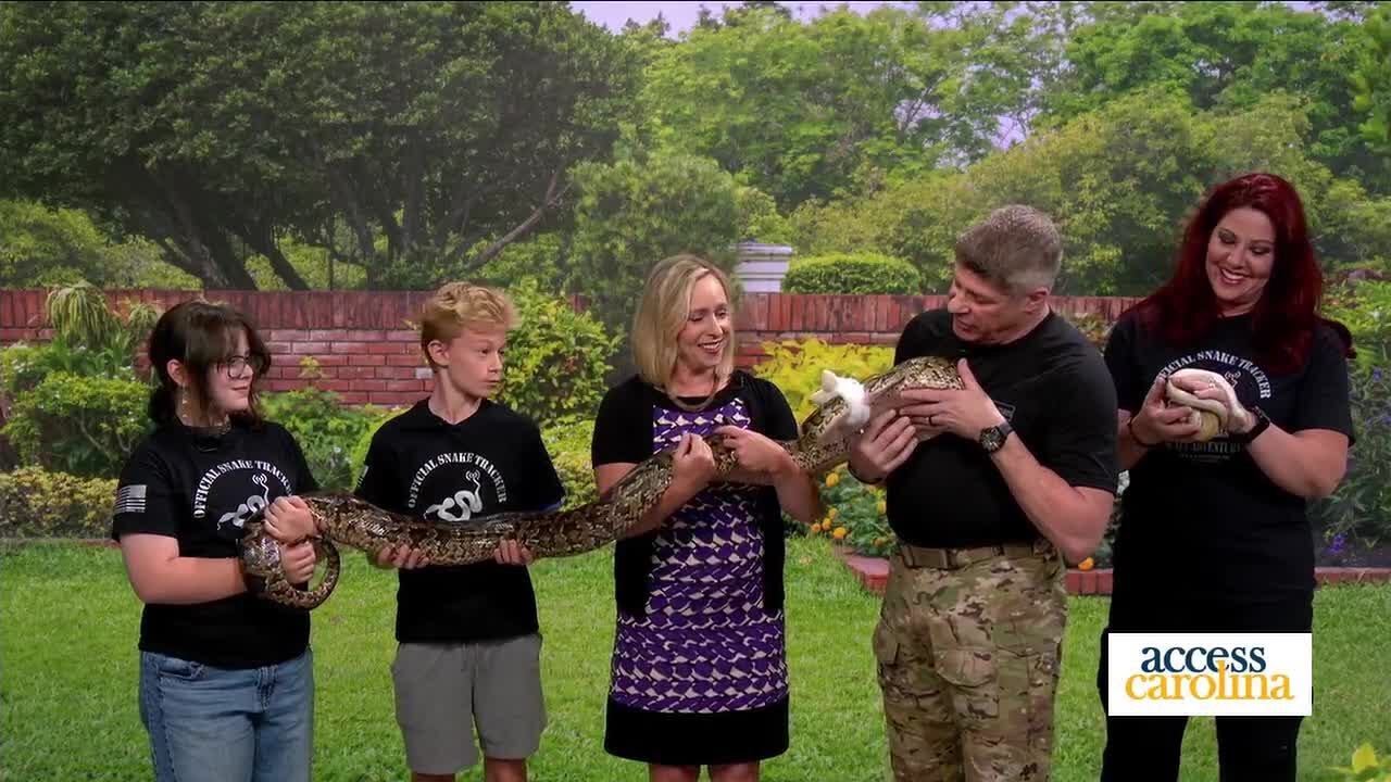 Meet Ginger, the 12-year old Burmese python