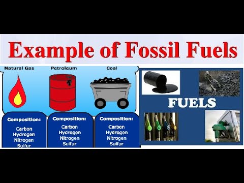 Grade 5 Science Chapter 6 Lesson 3 Fossil Fuel