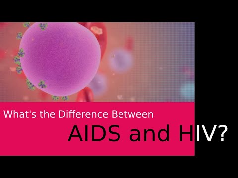 What's the Difference Between AIDS and HIV?