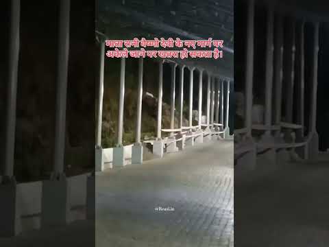 Tarakote Marg😱 #jaimatadi #vaishnodevi #yatra #tarakotemarg #video #yourubeshorts #viralvideo
