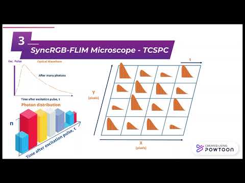 SyncRGB-Film Microscope