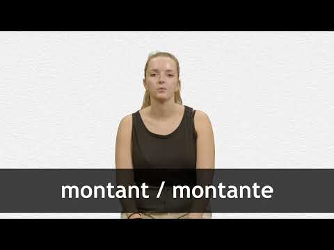 English Translation of “MONTANT” | Collins French-English Dictionary