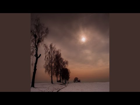 Ososia
