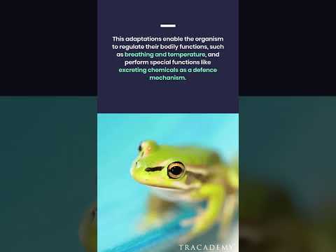 Adaptation Of Organism and its types - Short bites #5