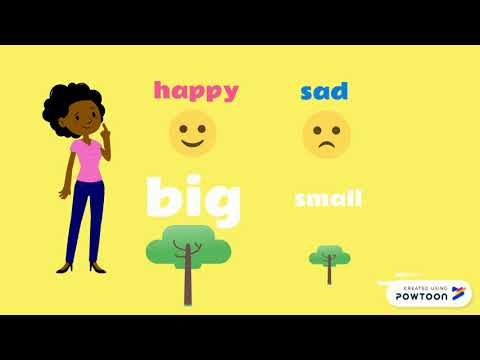 Synonyms and Antonyms Lesson