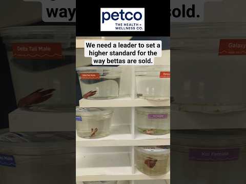 Change the pet industry standard for betta fish