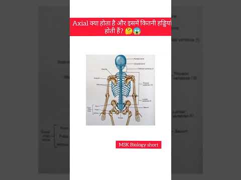 axial क्या होती है और इसमें कितनी हड्डियां होती हैं?🤔😱#MSK Biology short