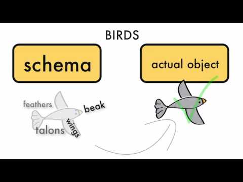 Schema Theory and Cognitive Load Theory
